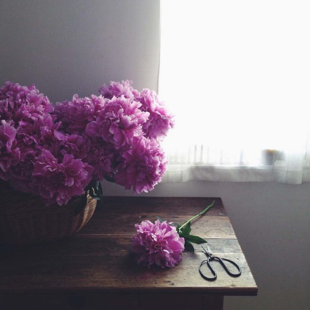 How Yukiko Masuda Takes Beautiful Still Life iPhone Photos