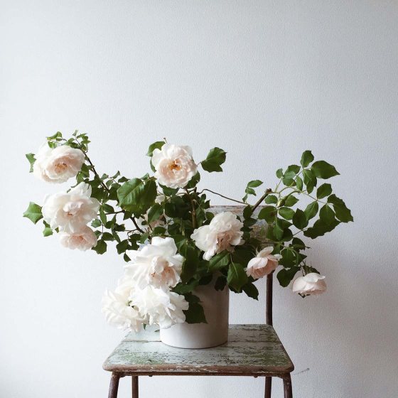 How Yukiko Masuda Takes Beautiful Still Life iPhone Photos