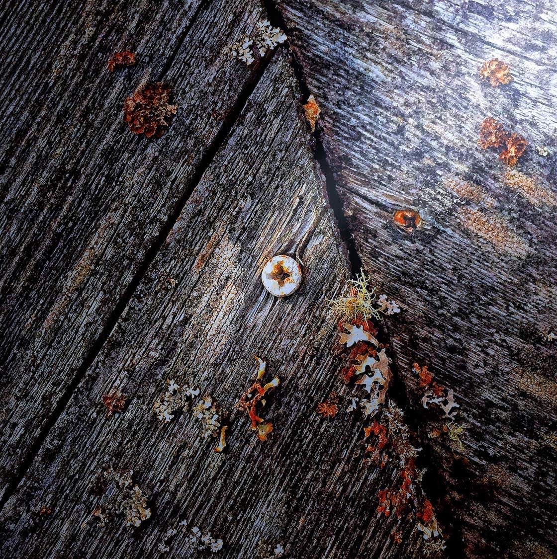 30 Stunning Abstract Images Shot With An iPhone