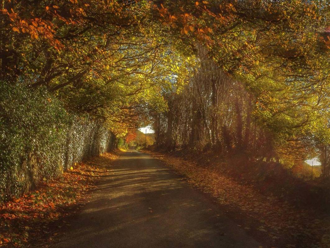 How To Enhance Your iPhone Landscape Photos With Editing