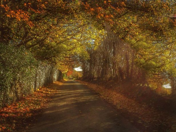 How To Enhance Your iPhone Landscape Photos With Editing