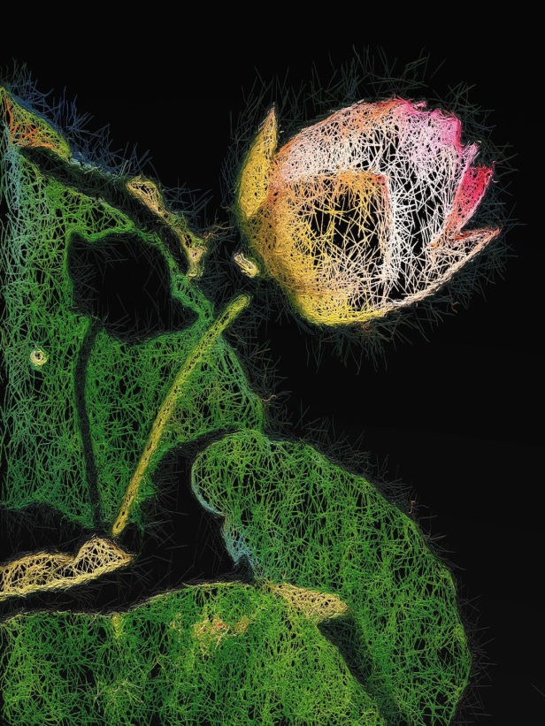 30 Beautiful Painterly Images Created With An iPhone