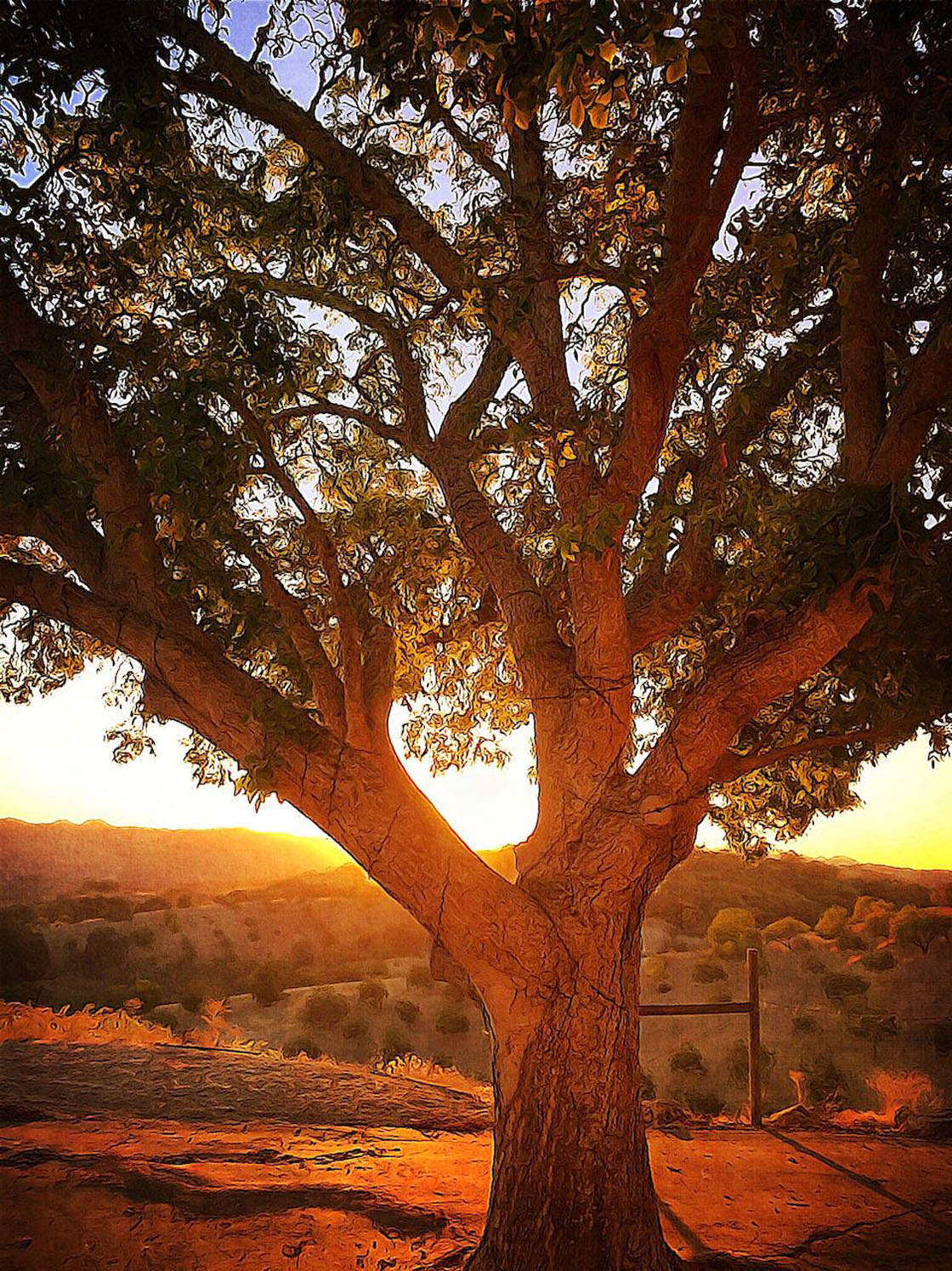 30 Beautiful Painterly Images Created With An iPhone