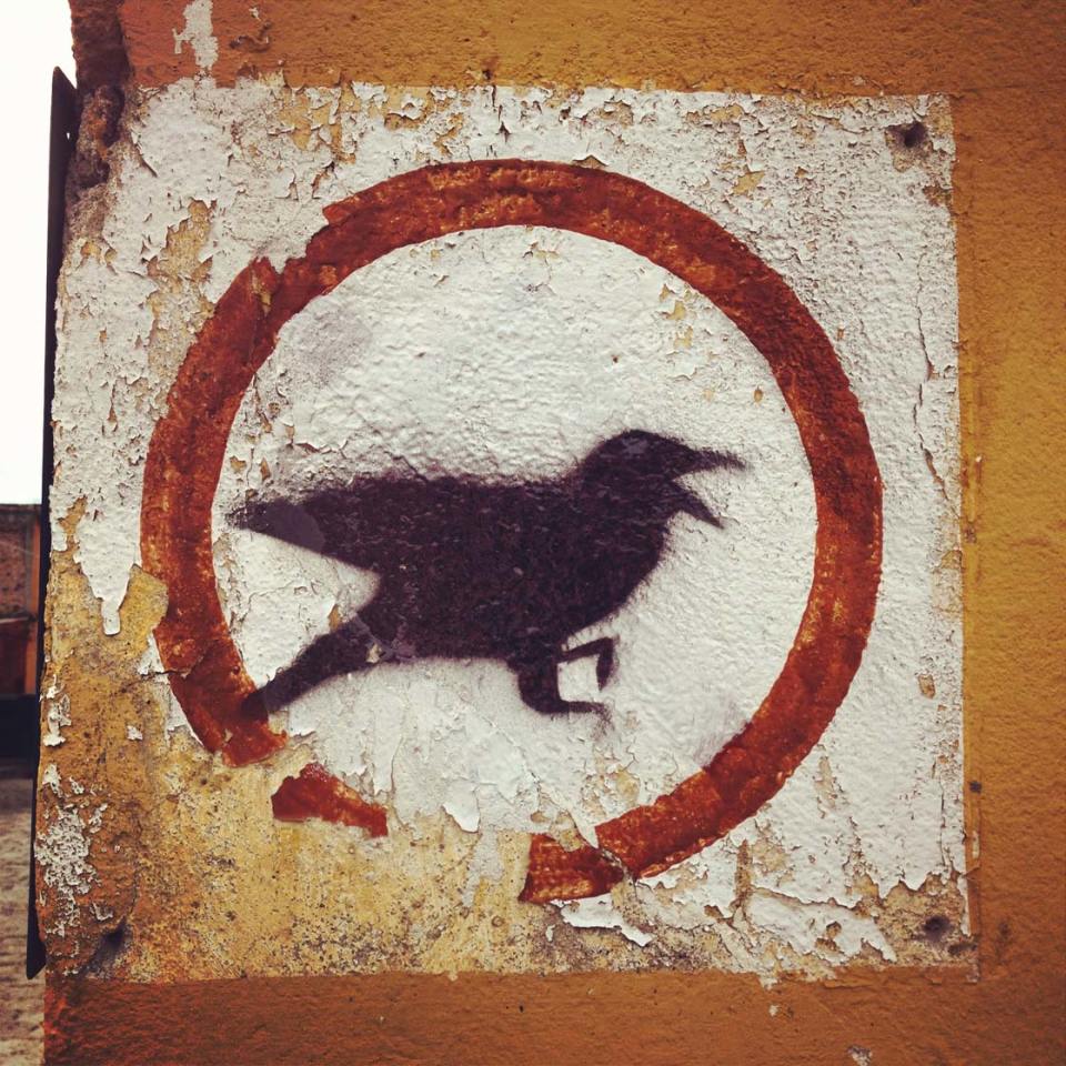 12 Ways To Use Color Composition For Stunning iPhone Photos