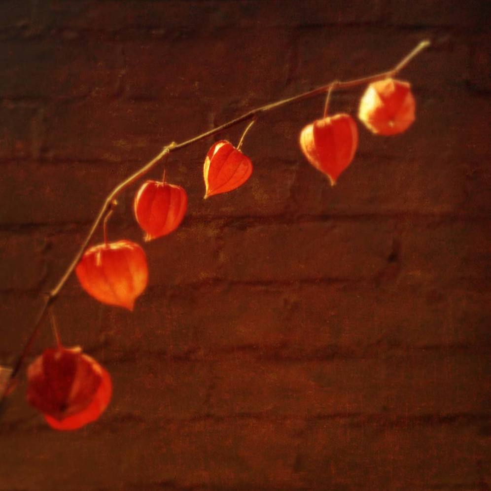 12 Ways To Use Color Composition For Stunning iPhone Photos