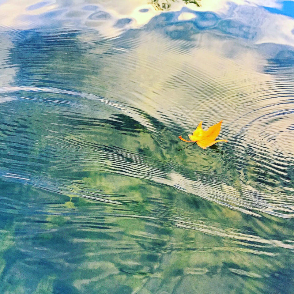 30 Beautiful Painterly Images Created With An iPhone