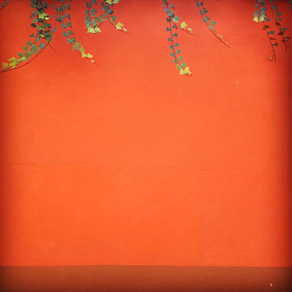 12 Ways To Use Color Composition For Stunning iPhone Photos