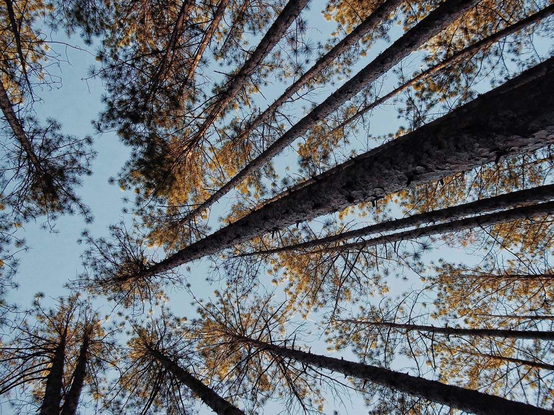 9 Perspective Tips For Creating High Impact iPhone Photos