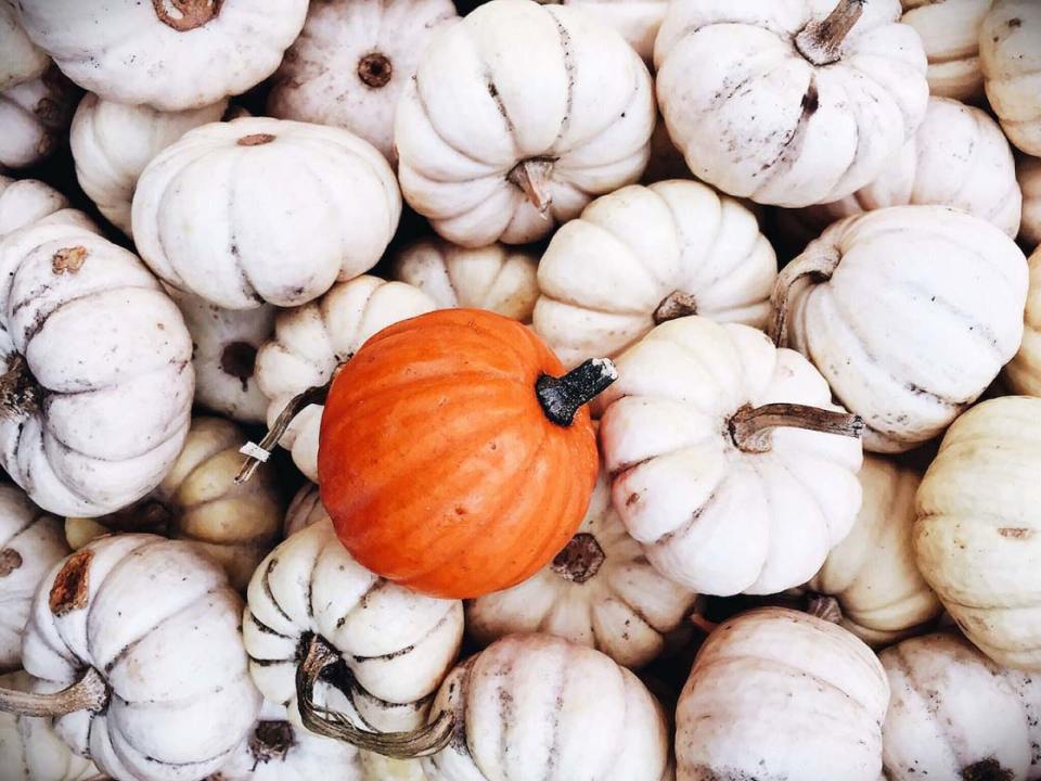 30 iPhone Photos That Make Incredible Use Of Color