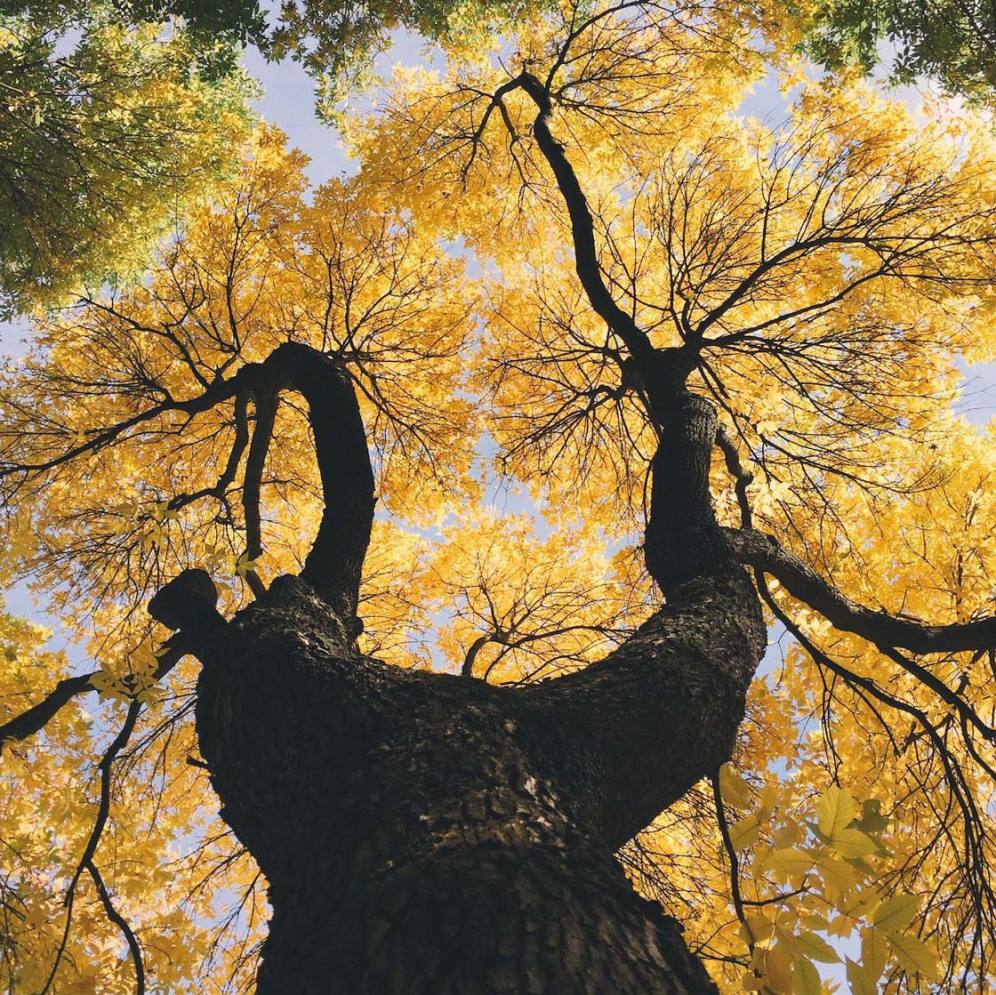 30 iPhone Photos That Make Incredible Use Of Color