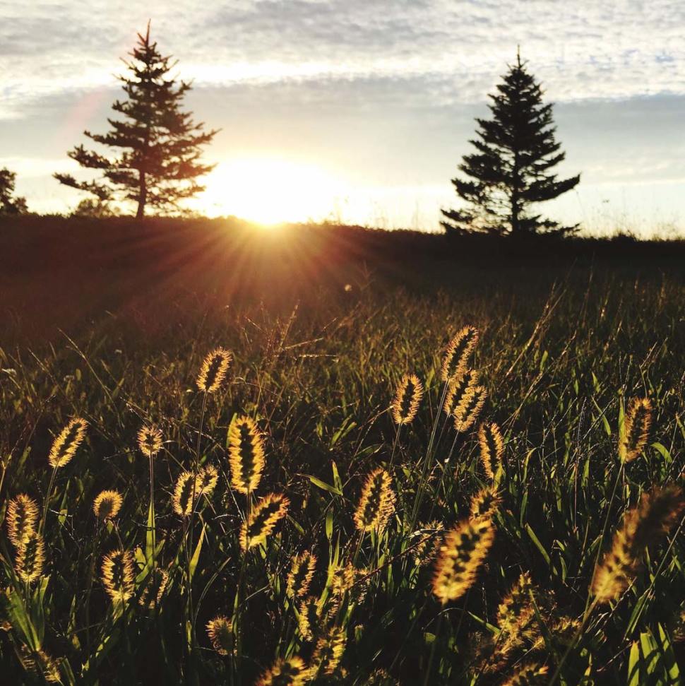 30 Stunning Landscape Photos Taken With iPhone