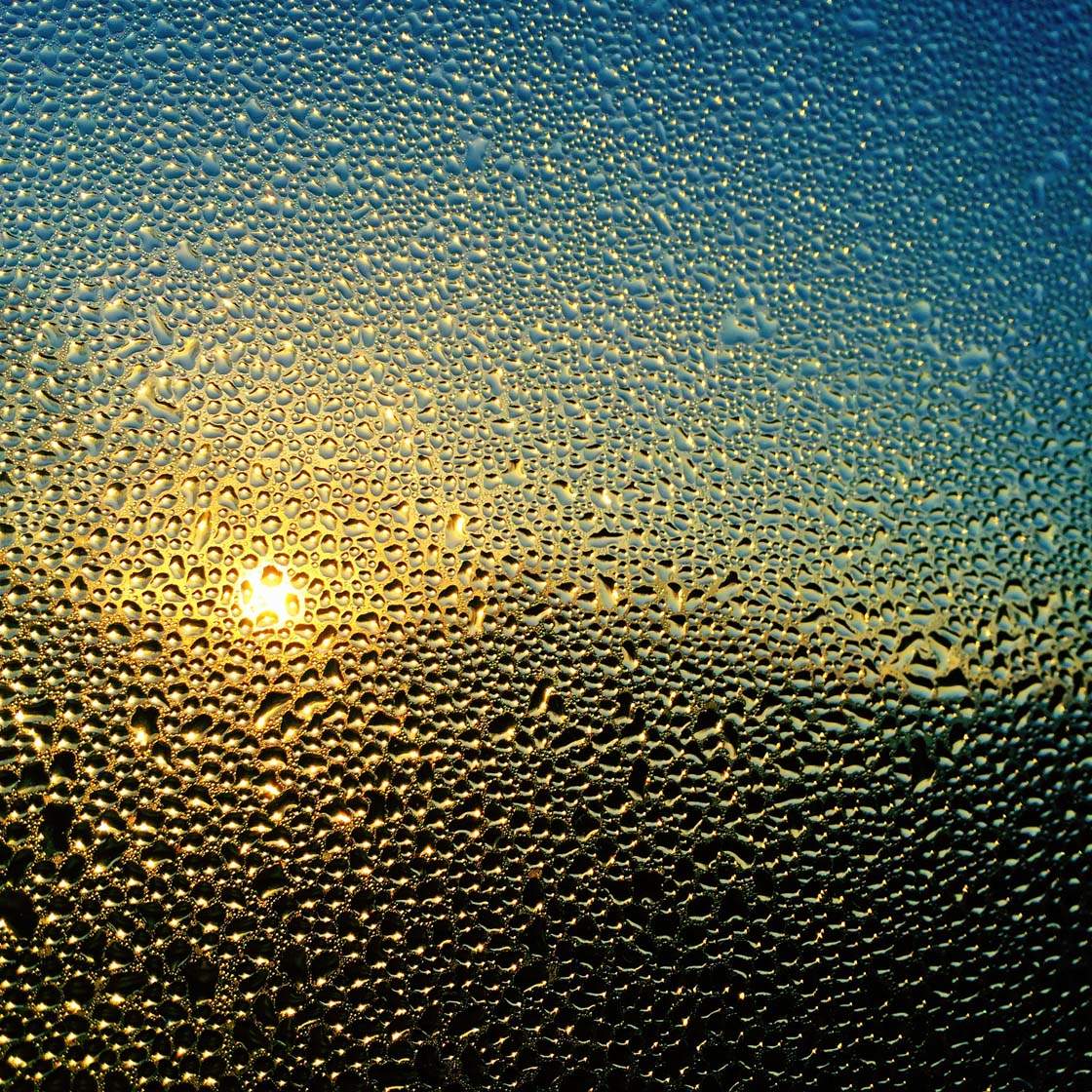 Create More Unique iPhone Photos By Shooting Through Objects