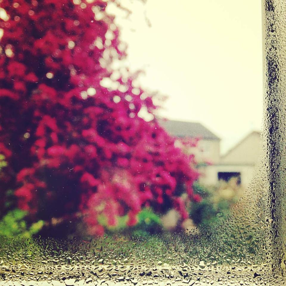 Create More Unique iPhone Photos By Shooting Through Objects