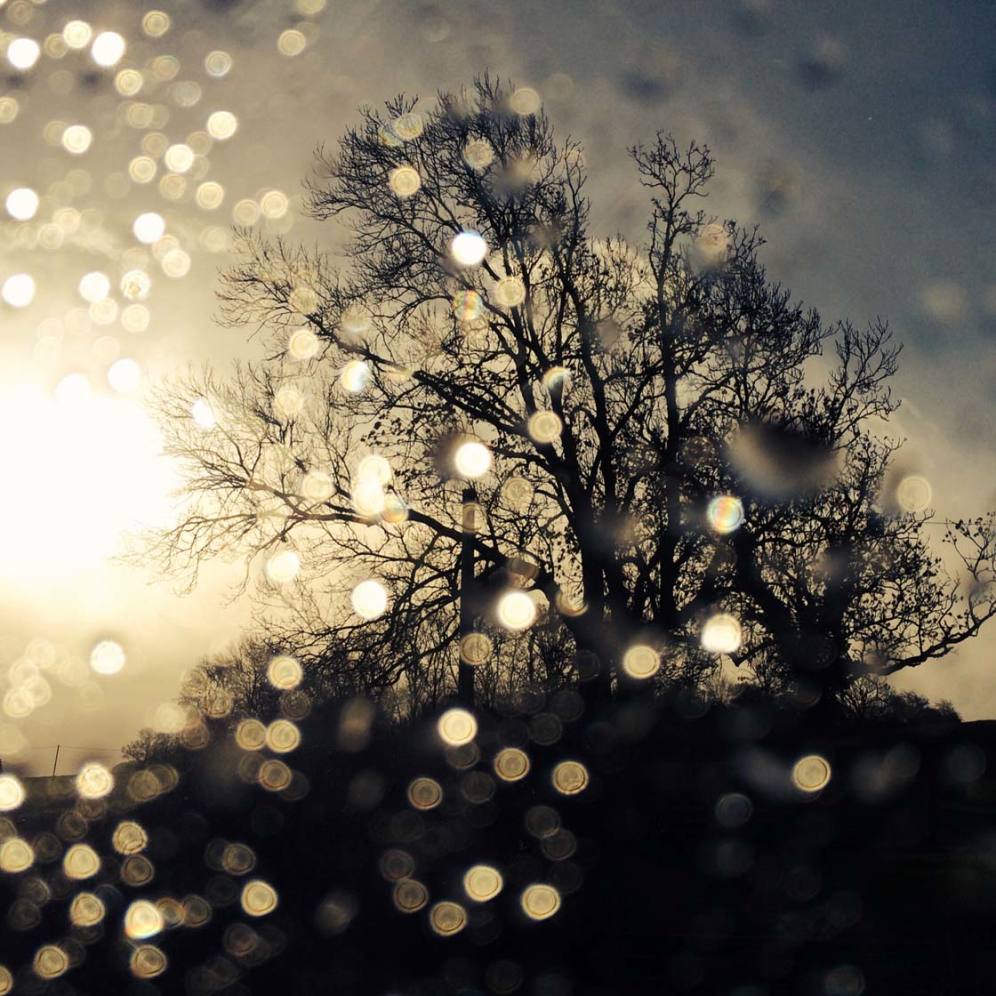 Create More Unique iPhone Photos By Shooting Through Objects