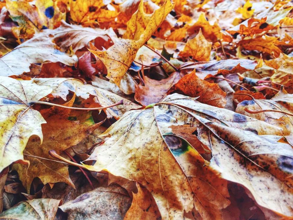 30 Great iPhone Photos That Capture The Beauty Of Fall