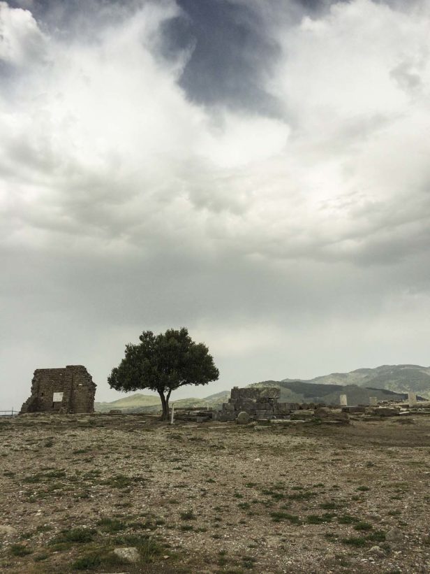 How Geny Baluyot Takes Incredible iPhone Photos