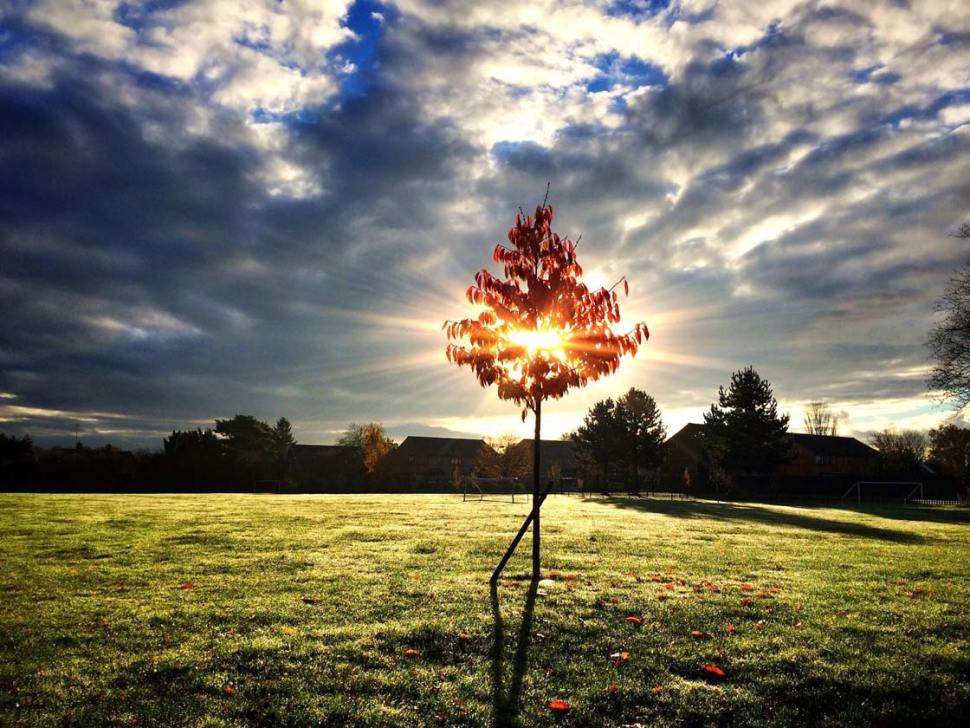 30 Great iPhone Photos That Capture The Beauty Of Fall