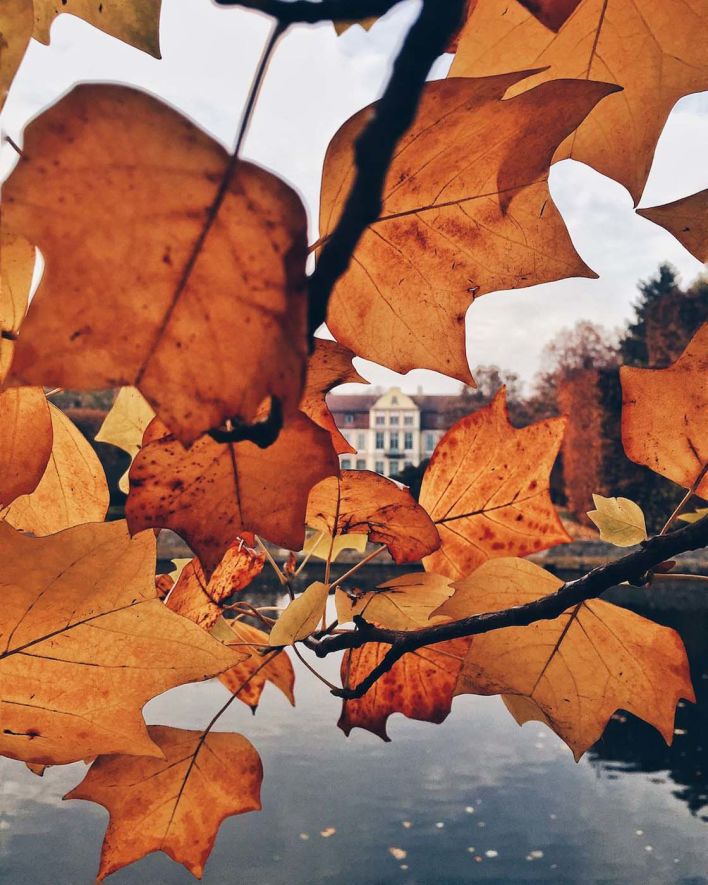 30 Great iPhone Photos That Capture The Beauty Of Fall