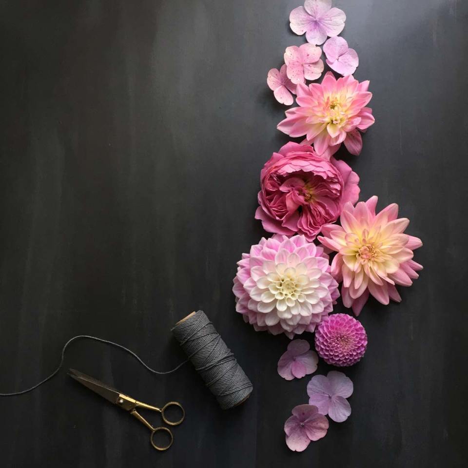How Cristina Colli Takes Beautiful Flower Photos With iPhone