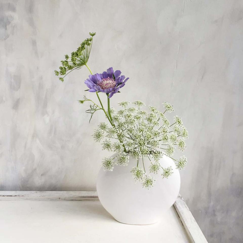 How Cristina Colli Takes Beautiful Flower Photos With iPhone