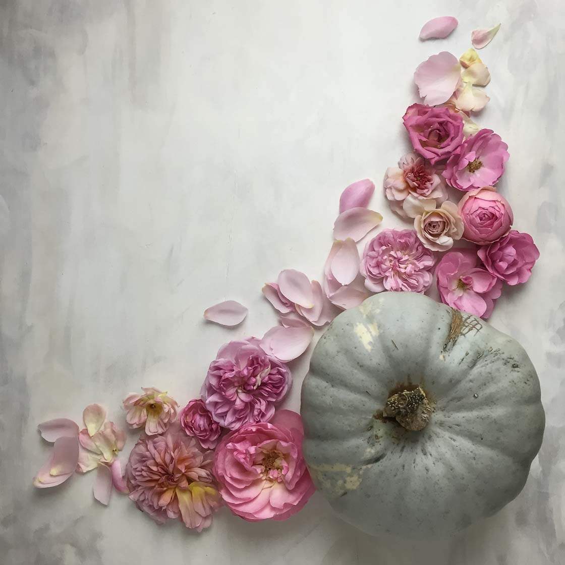 How Cristina Colli Takes Beautiful Flower Photos With iPhone