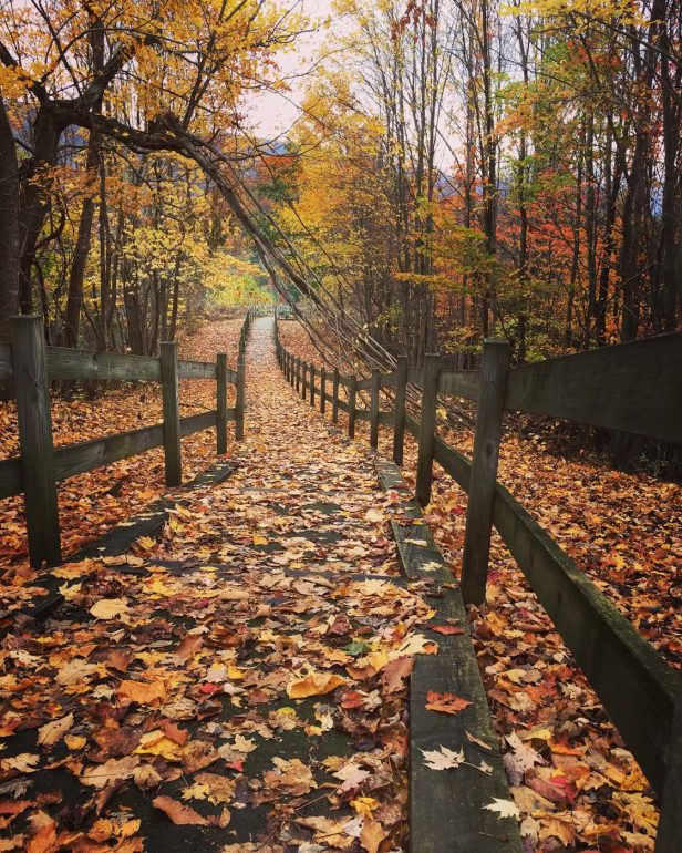 10 Great Ways To Use Leading Lines In Your iPhone Photos