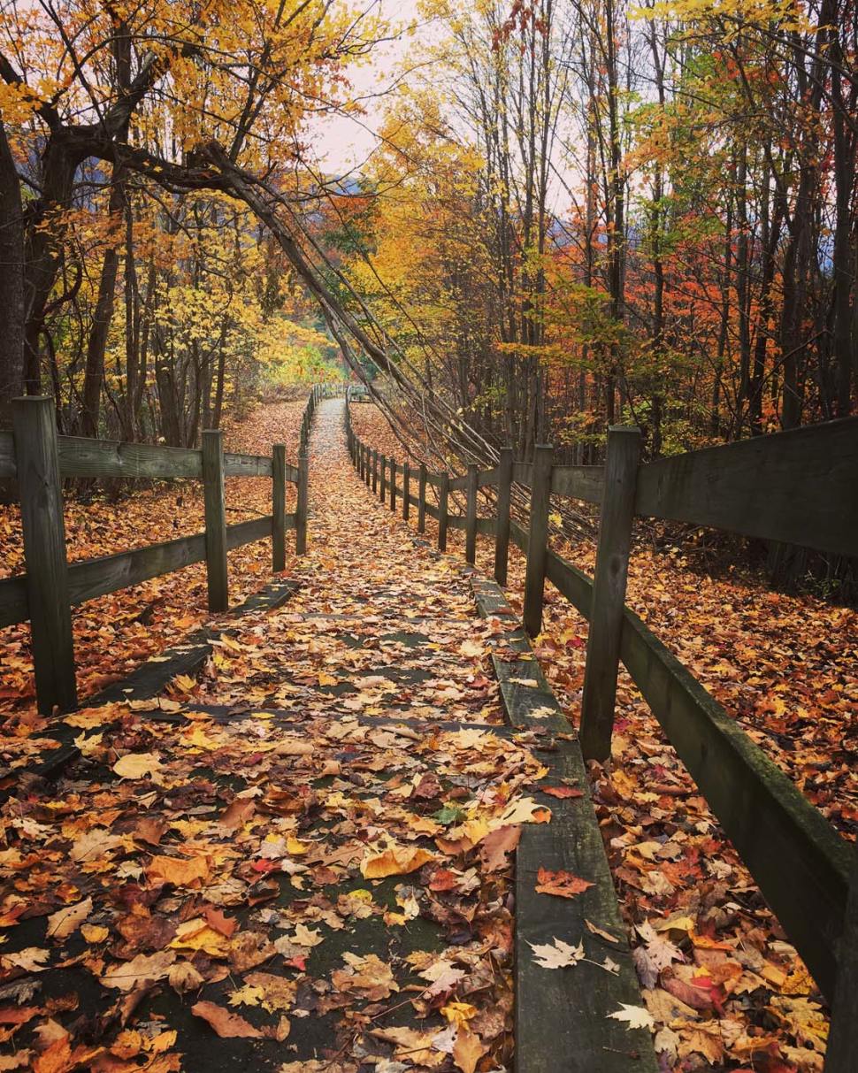 10 Great Ways To Use Leading Lines In Your iPhone Photos