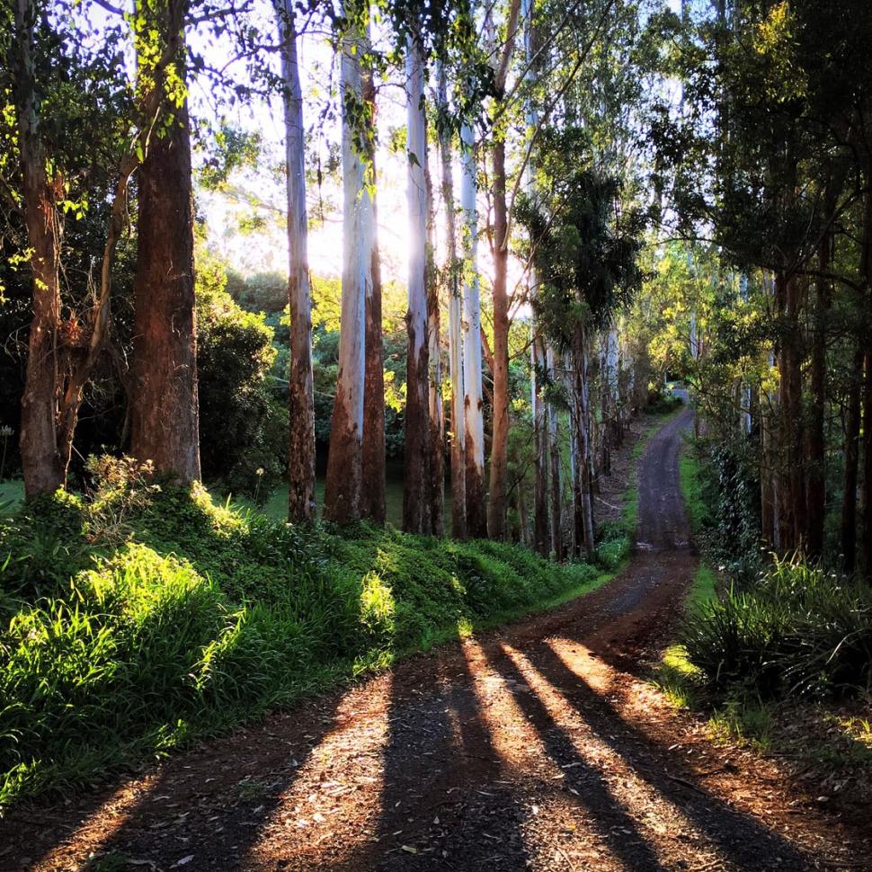 10 Great Ways To Use Leading Lines In Your iPhone Photos