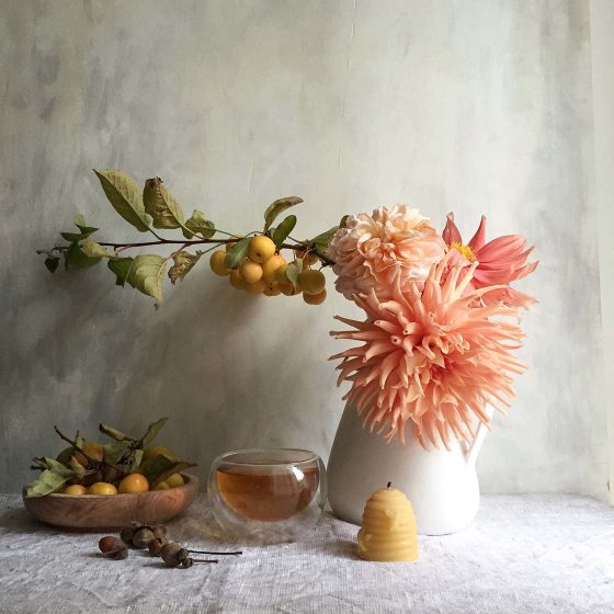 How Cristina Colli Takes Beautiful Flower Photos With iPhone