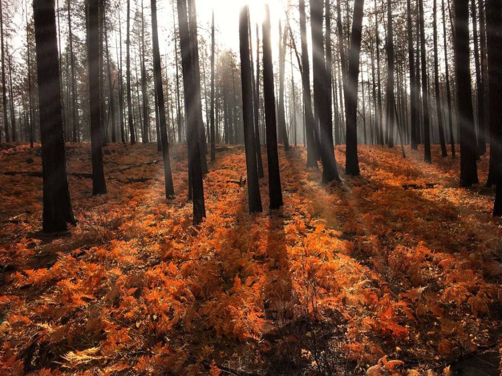 30 Wonderful Photos Taken In Beautiful & Dramatic Light