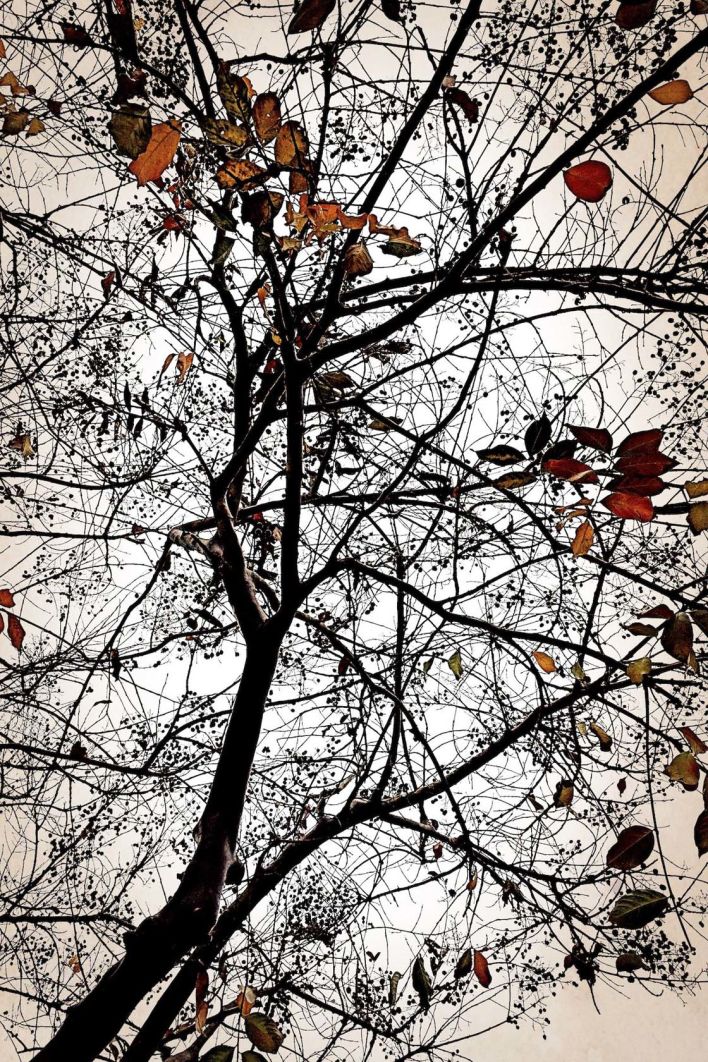 30 Incredibly Creative Photos Taken With An iPhone