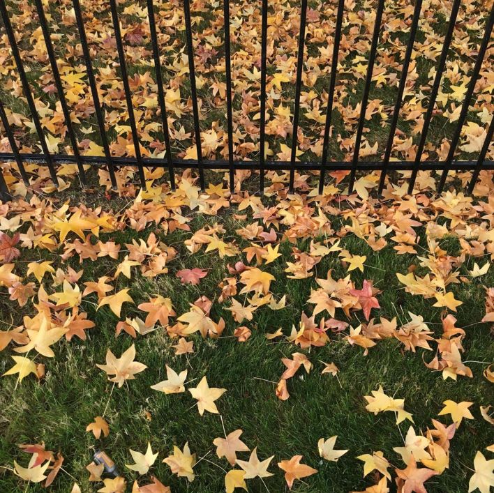 How To Take Better iPhone Photos From Interesting Viewpoints