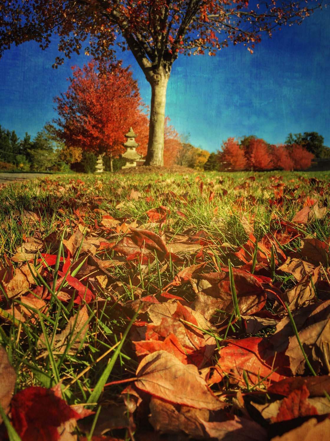 How To Take Better iPhone Photos From Interesting Viewpoints