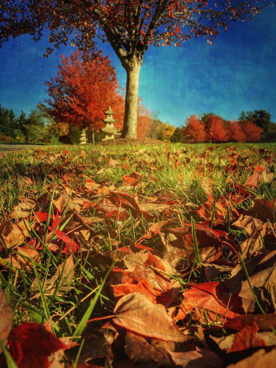 How To Take Better iPhone Photos From Interesting Viewpoints