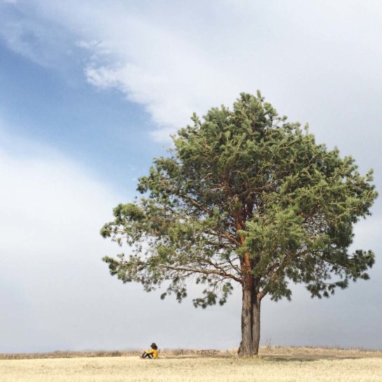 10 Tips For Shooting Stunning Minimalist Landscapes On iPhone