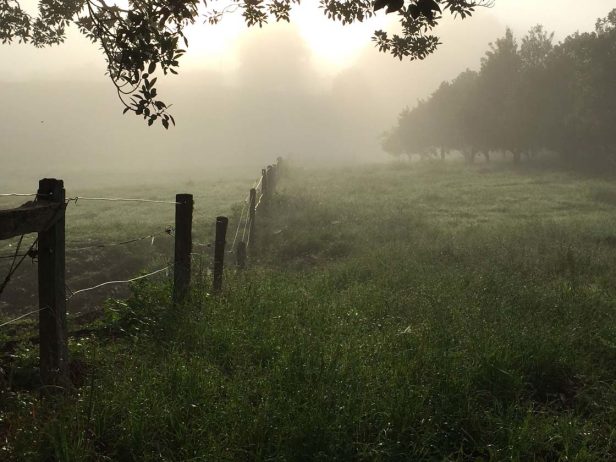 30 Breathtaking iPhone Photos Of Weather