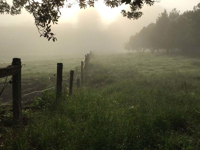 30 Breathtaking iPhone Photos Of Weather