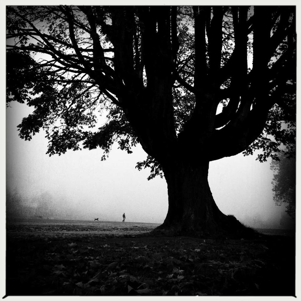 How Lee Atwell Tells Wonderful Stories Through Her iPhone Street ...