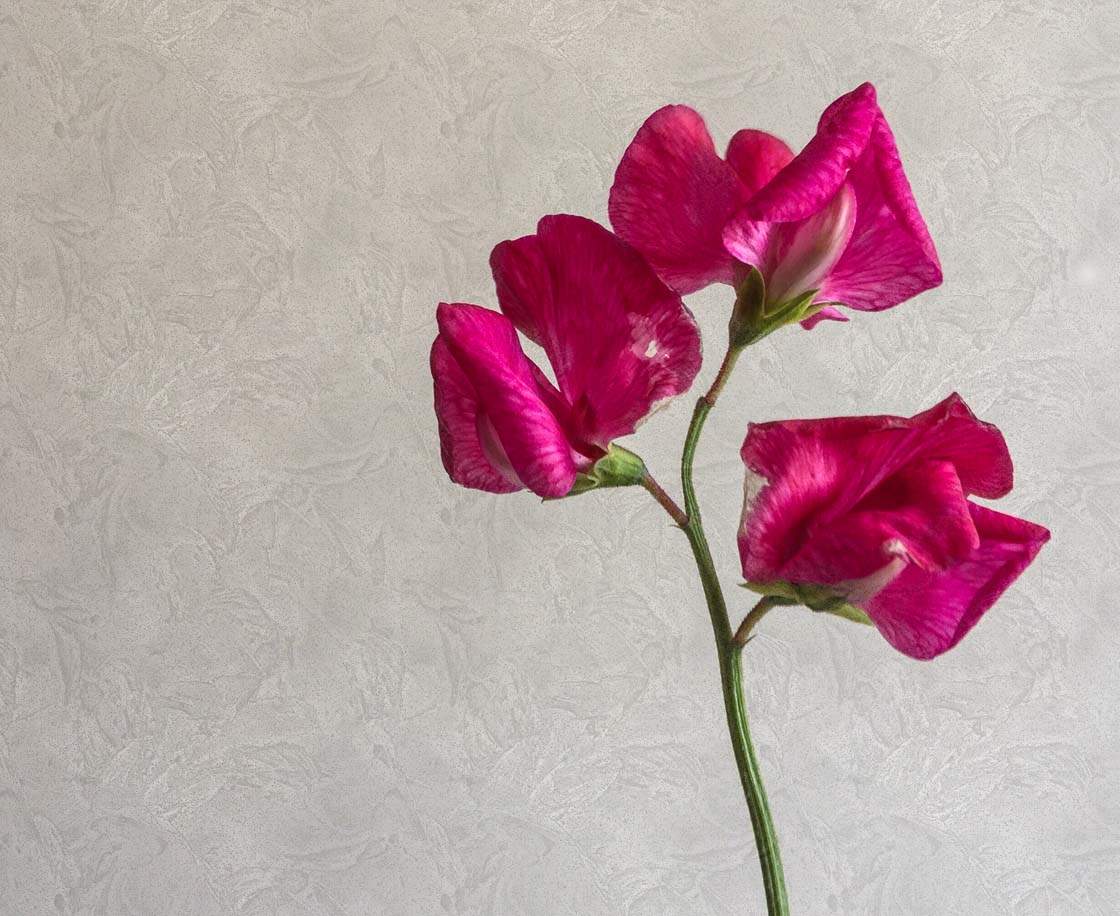 10 Easy Ways To Create Stunning Minimalist Compositions