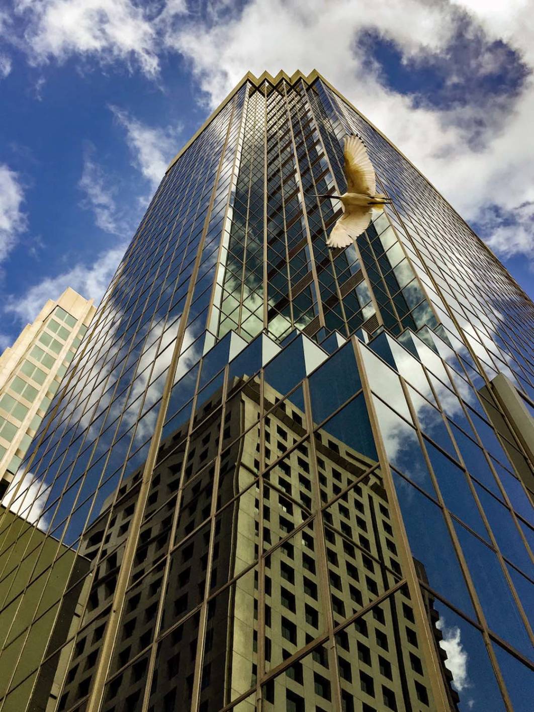 30 Amazing iPhone Photos Of Buildings & Architecture