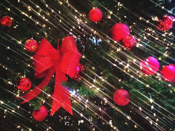 30 Magical Christmas Photos Taken With iPhone