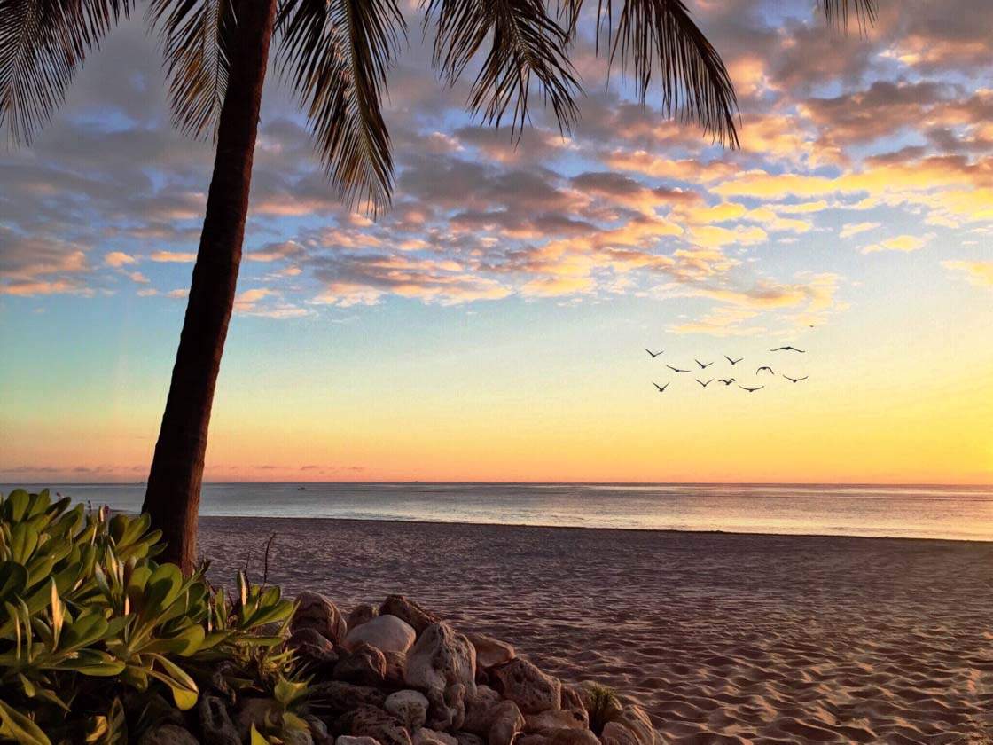 How Stella Oliver Creates Beautiful iPhone Landscape Photos
