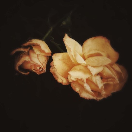 How Stella Oliver Creates Beautiful iPhone Landscape Photos