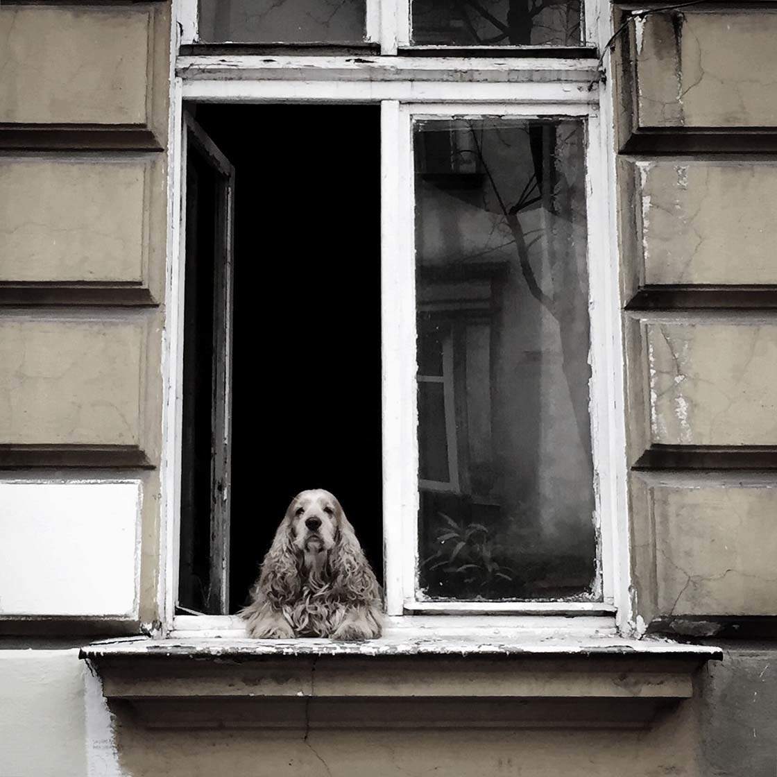 30 iPhone Photos That Use Excellent Composition