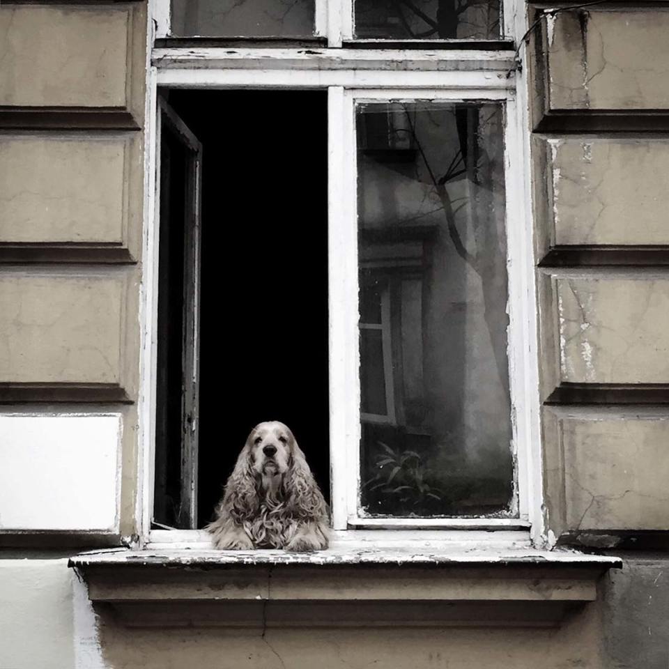 30 iPhone Photos That Use Excellent Composition