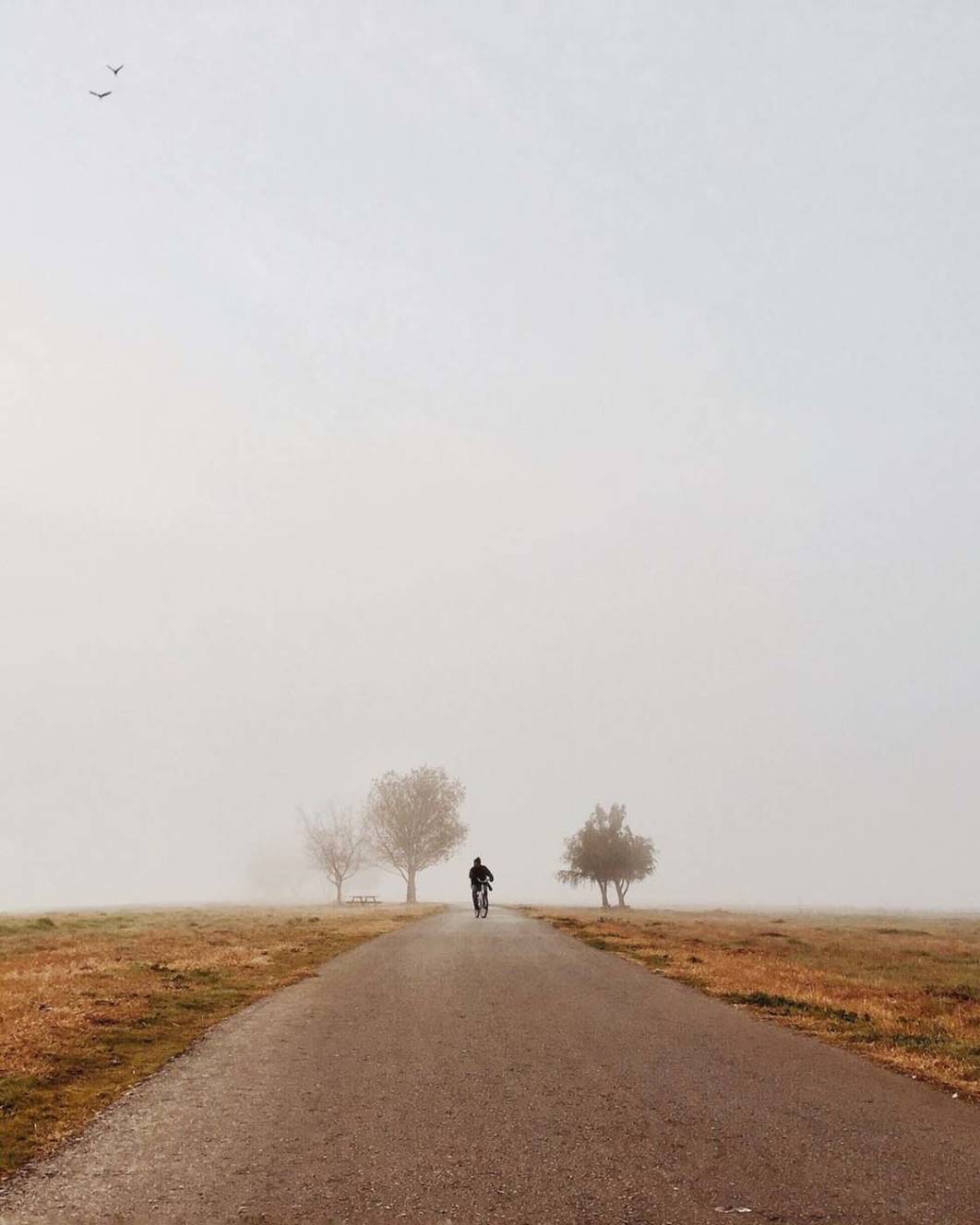 30 iPhone Photos That Use Excellent Composition