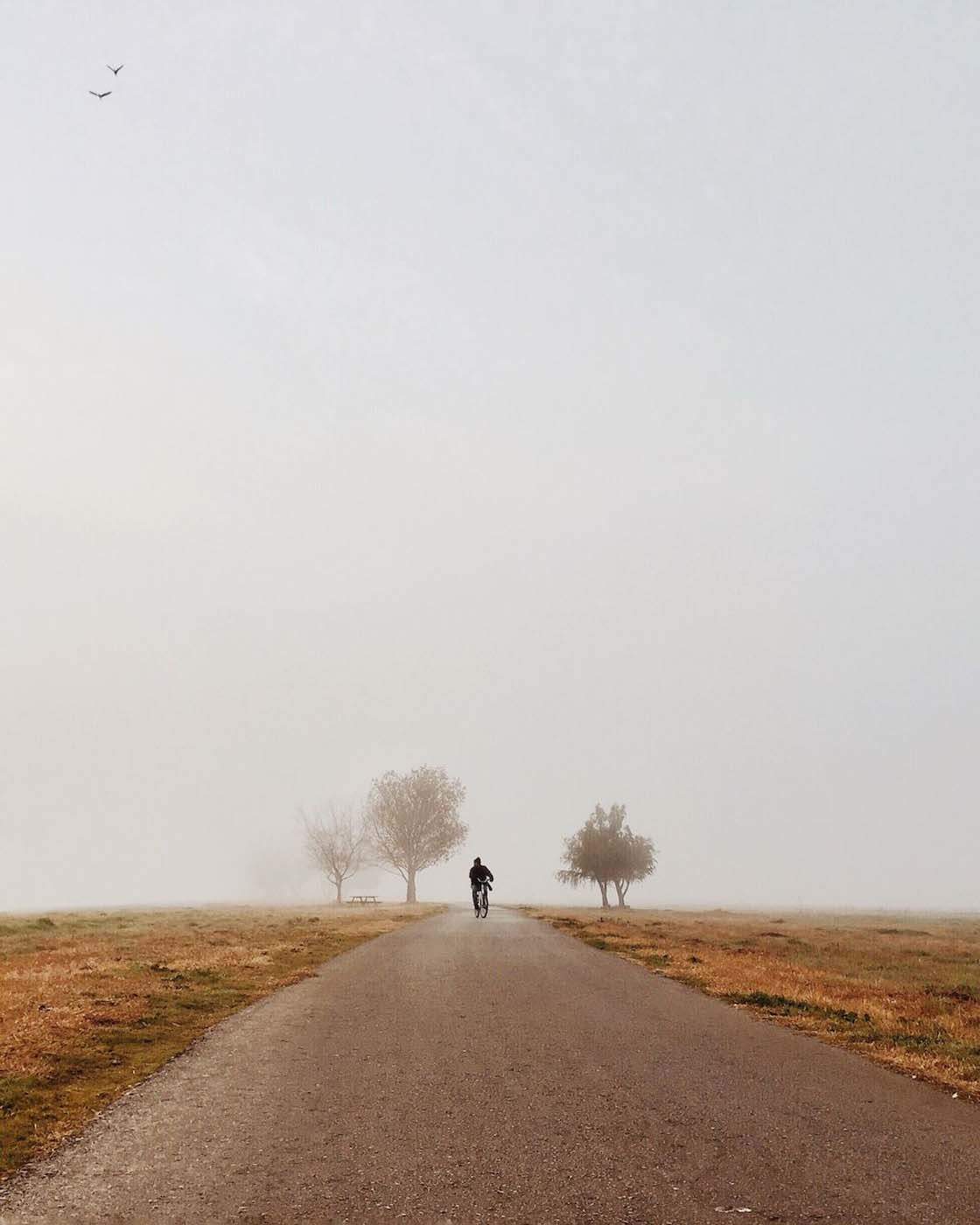 30 iPhone Photos That Use Excellent Composition