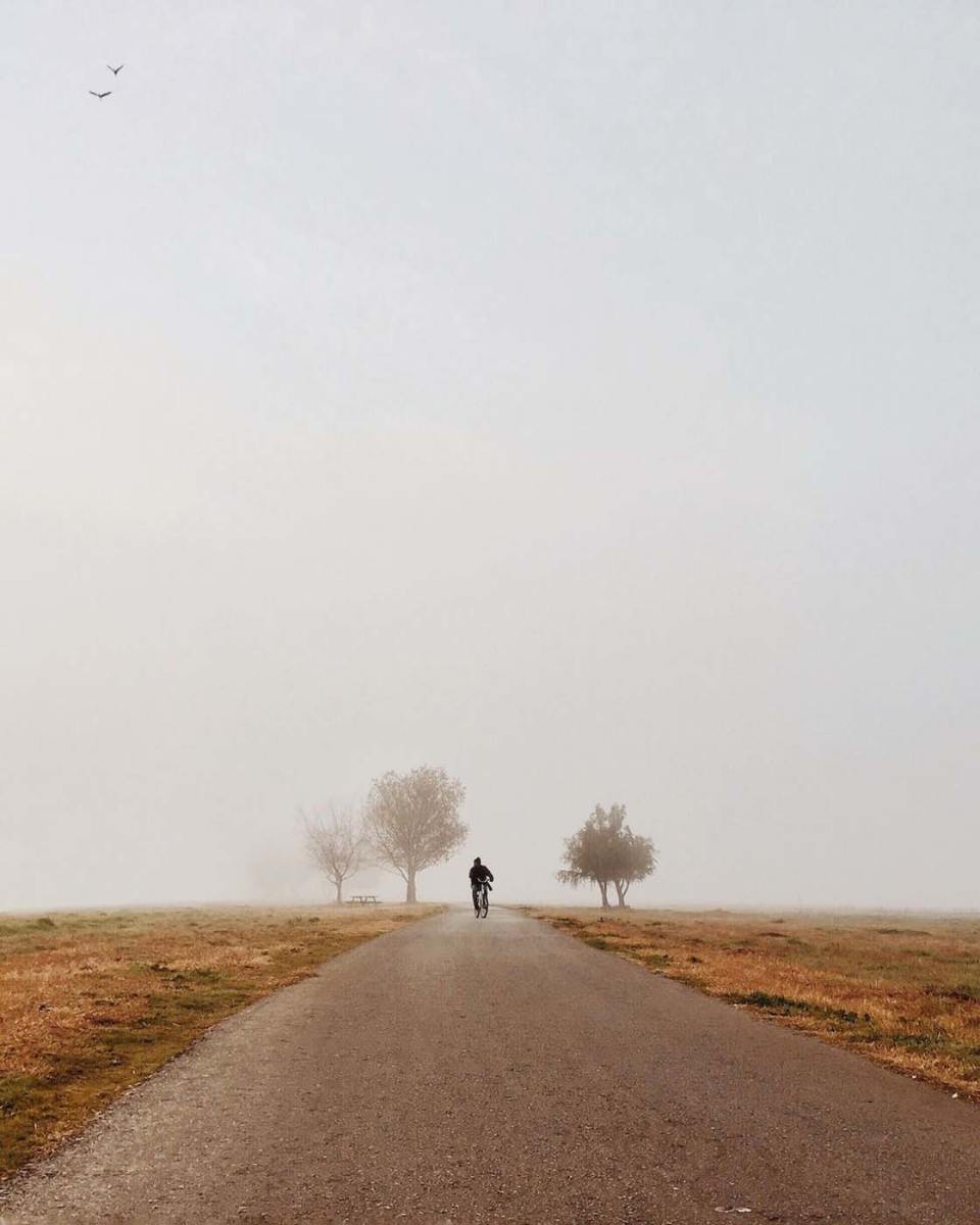 30 iPhone Photos That Use Excellent Composition