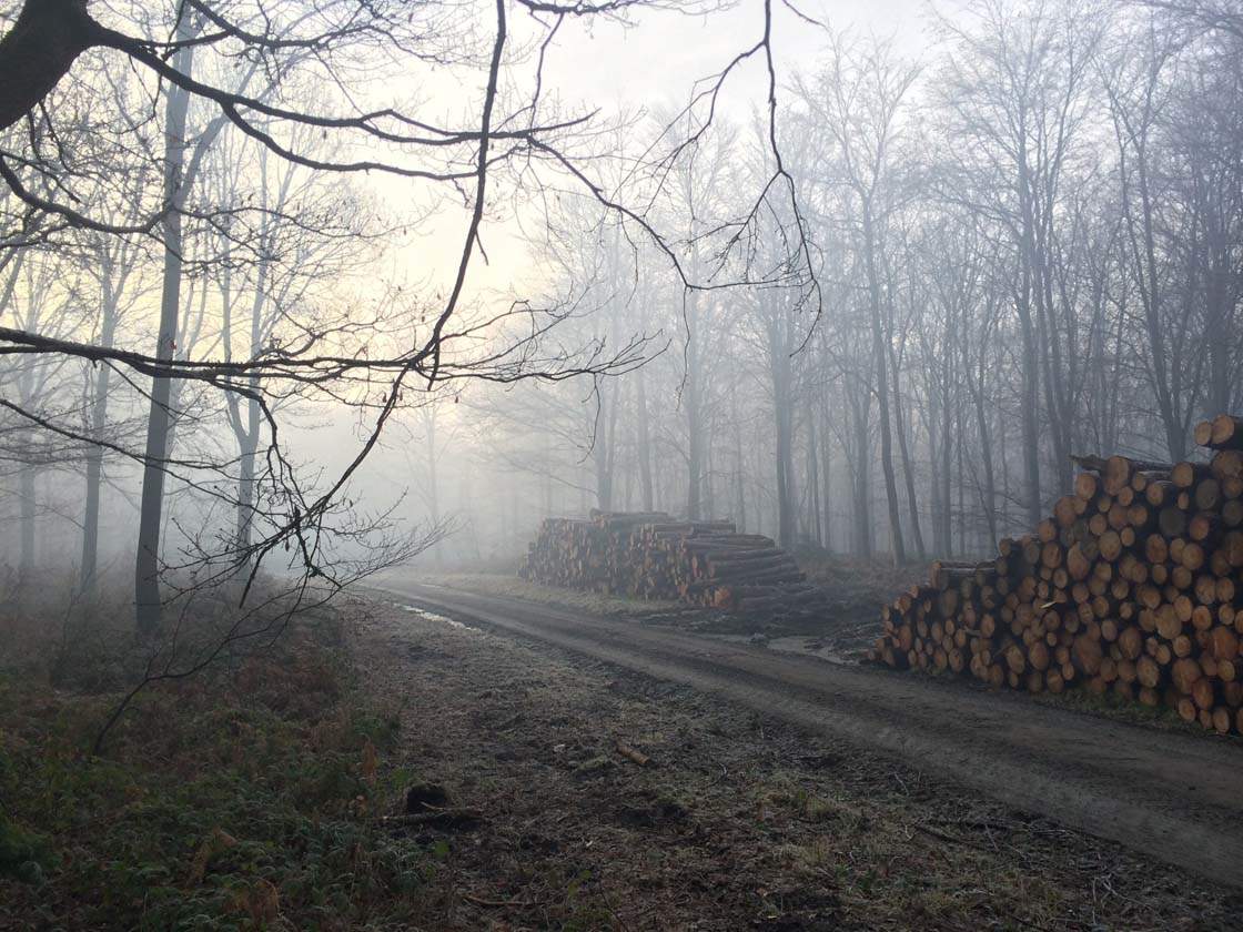 11 iPhone Photography Tips For Shooting Moody Landscapes
