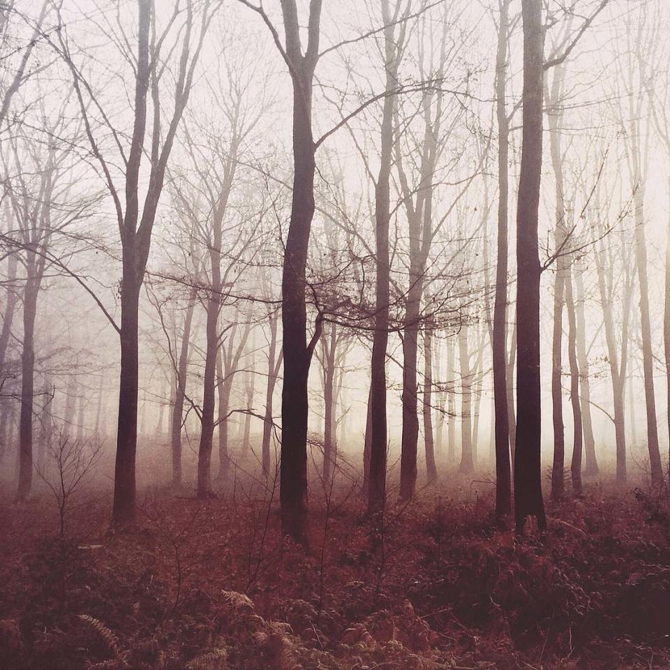 11 iPhone Photography Tips For Shooting Moody Landscapes